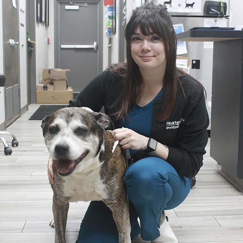 Meet The Team Delaware Animal Clinic meet-the-team-delaware-animal-clinic
